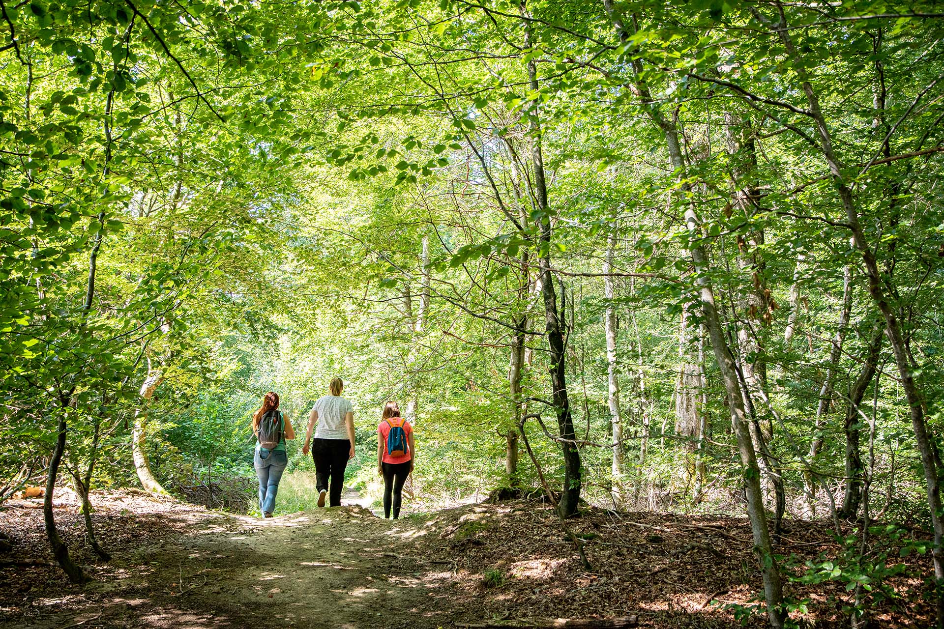 Balades à pied - Maison du Tourisme du Pays d'Arlon